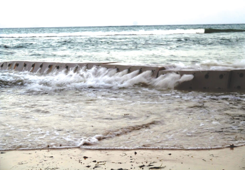 Sandsaver Beach Erosion Solution – Natural Solution to Beach Erosion