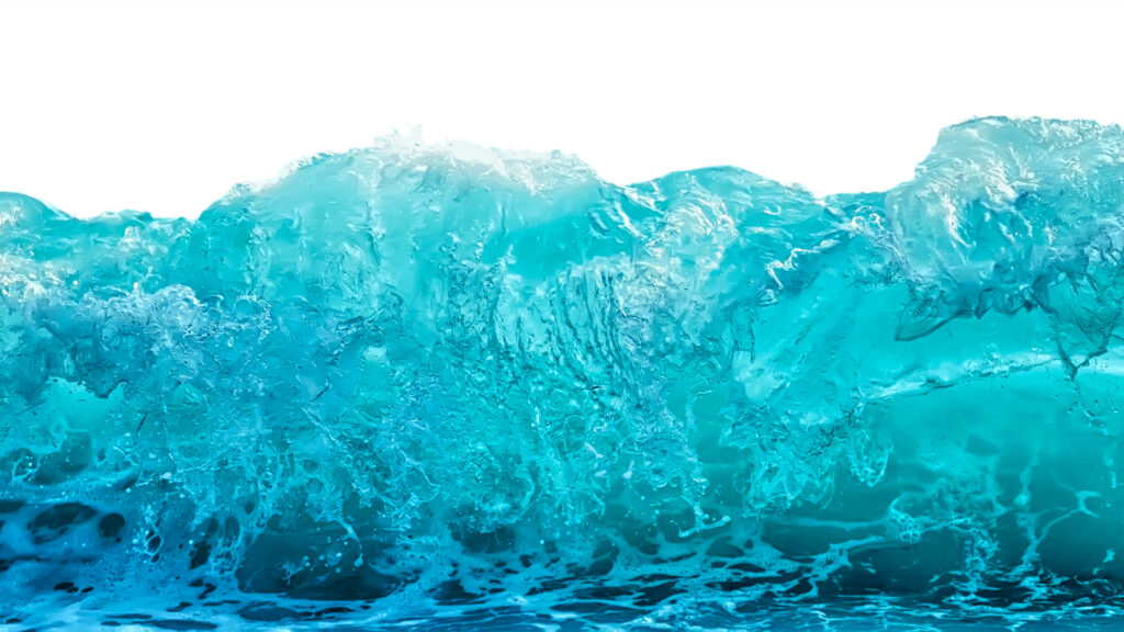 Sandsaver Beach Erosion Solution – Natural Solution to Beach Erosion